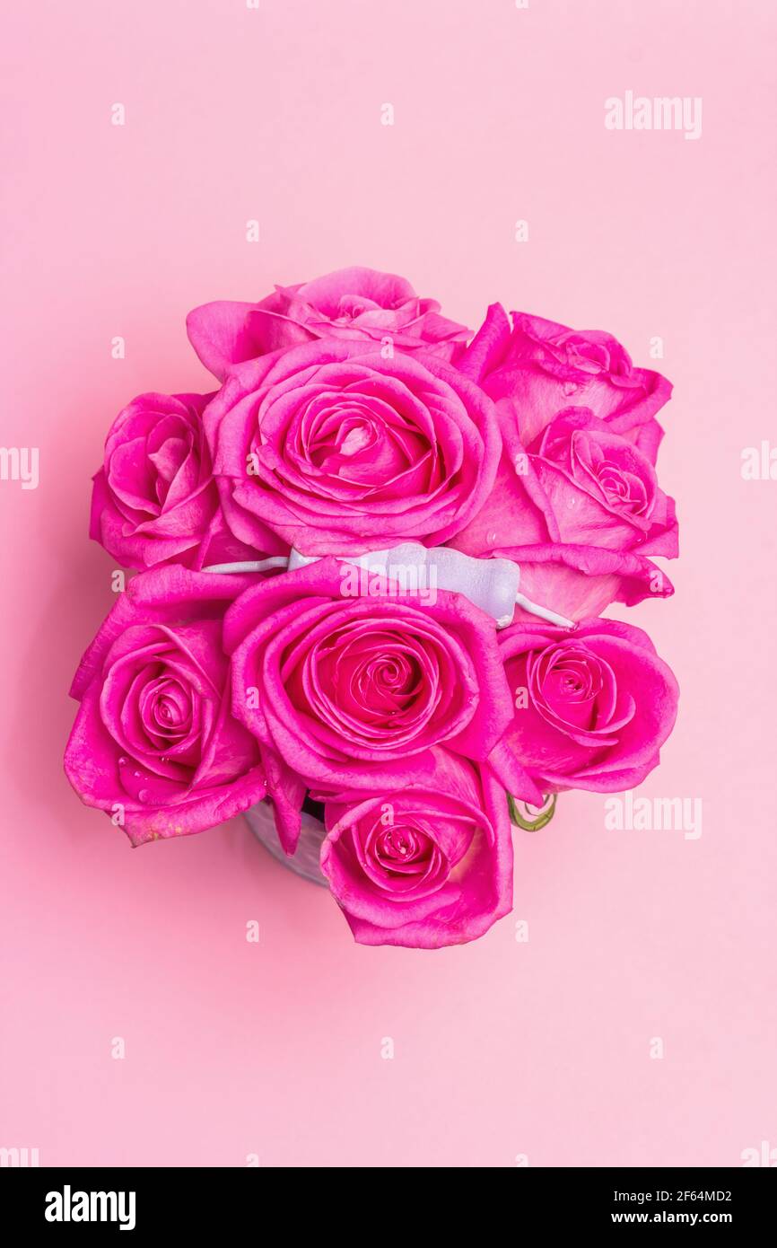 Pi day wishes hi-res stock photography and images - Alamy