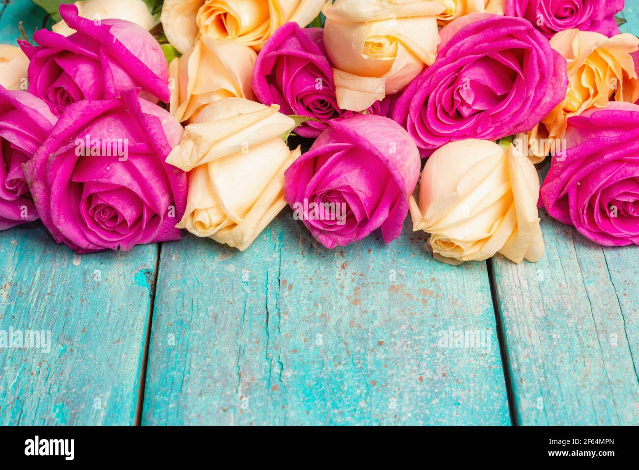 Assorted fresh multicolored roses on turquoise wooden background. The ...