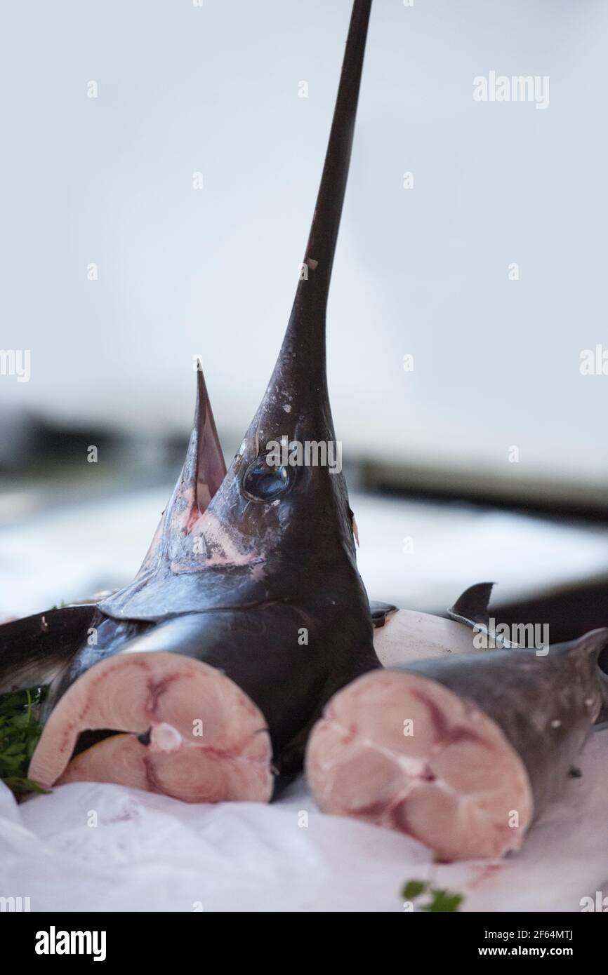 Swordfish with head for sale at a Sicilian local market Stock Photo - Alamy