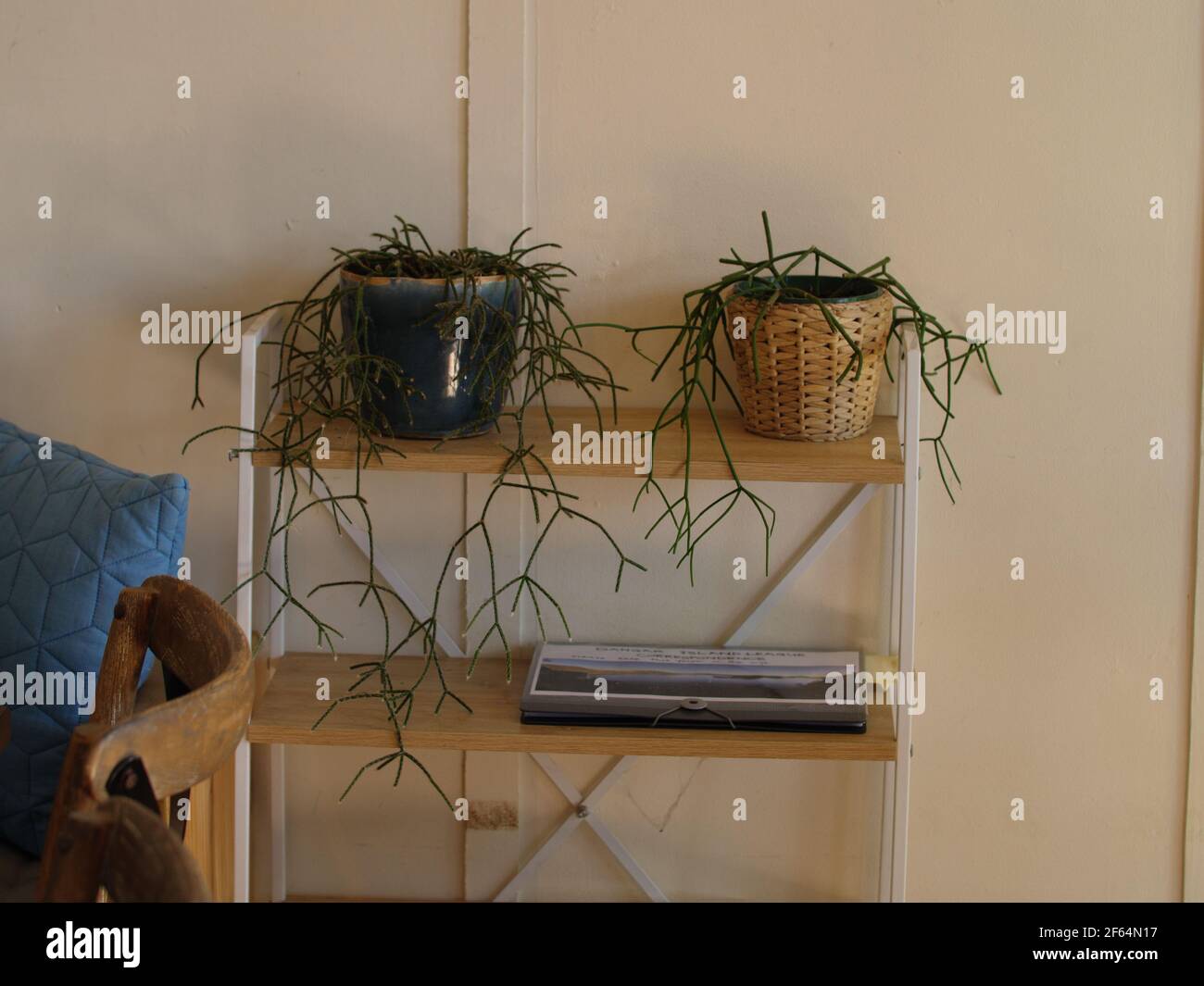 Dangar island hi-res stock photography and images - Alamy