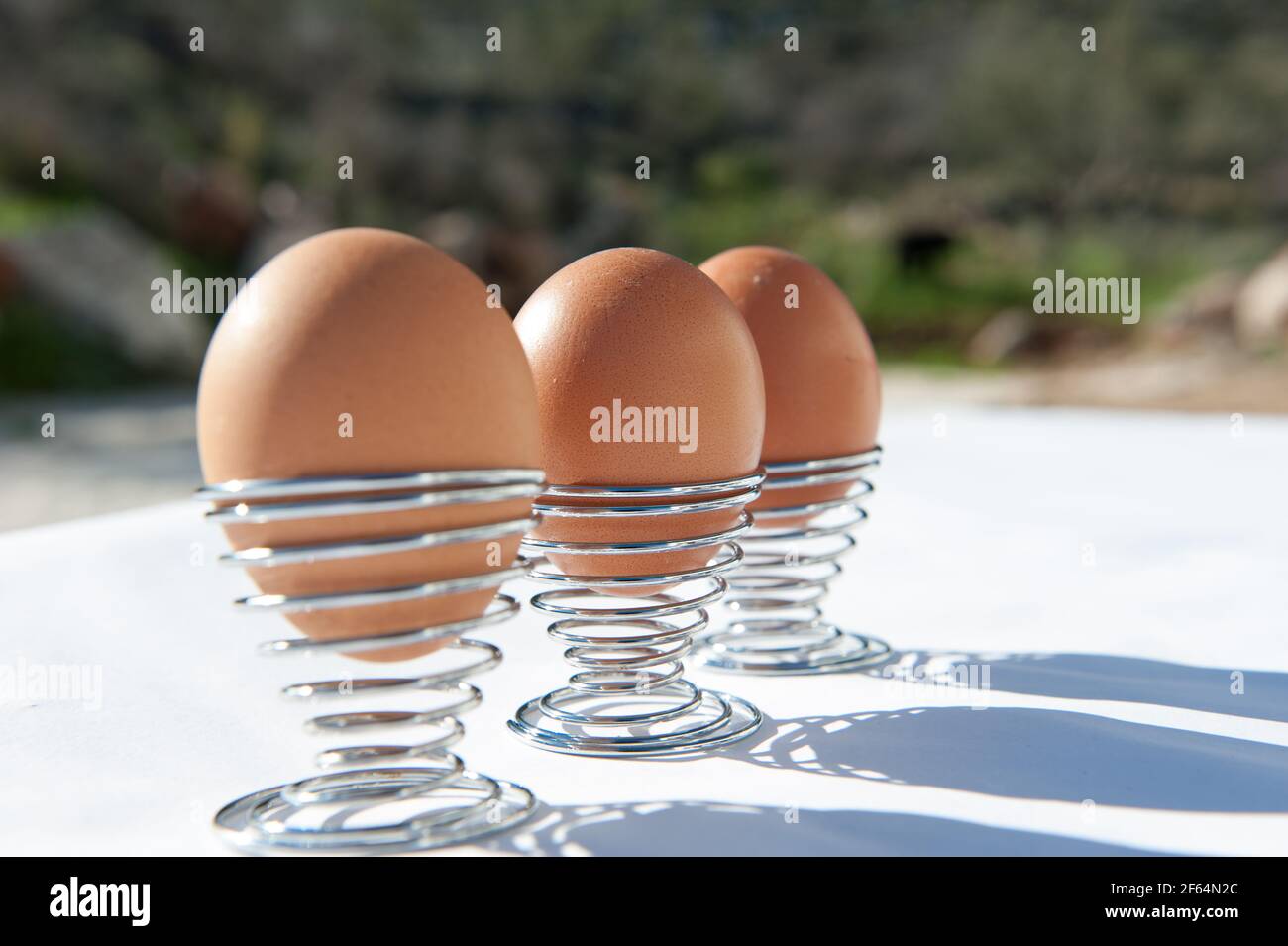 Spiral and egg hi-res stock photography and images - Alamy