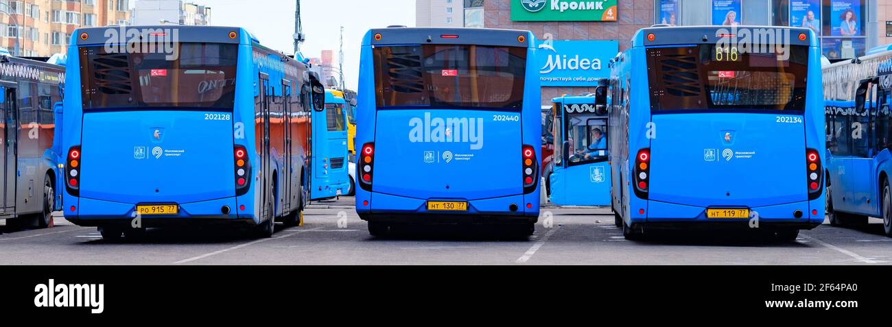 Moscow. Russia. March 26, 2021. Many blue modern public transport buses ...