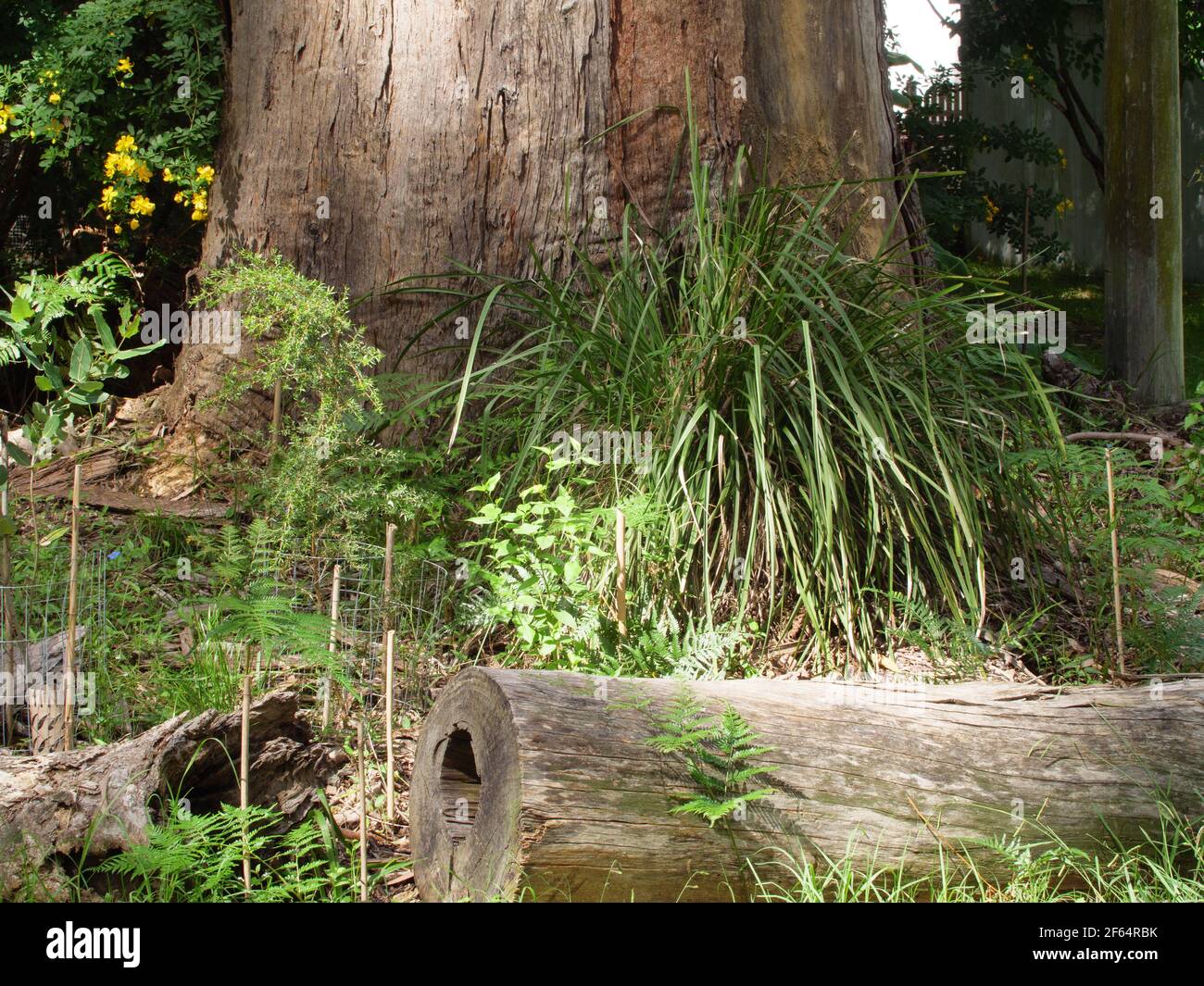 Dangar island hi-res stock photography and images - Alamy