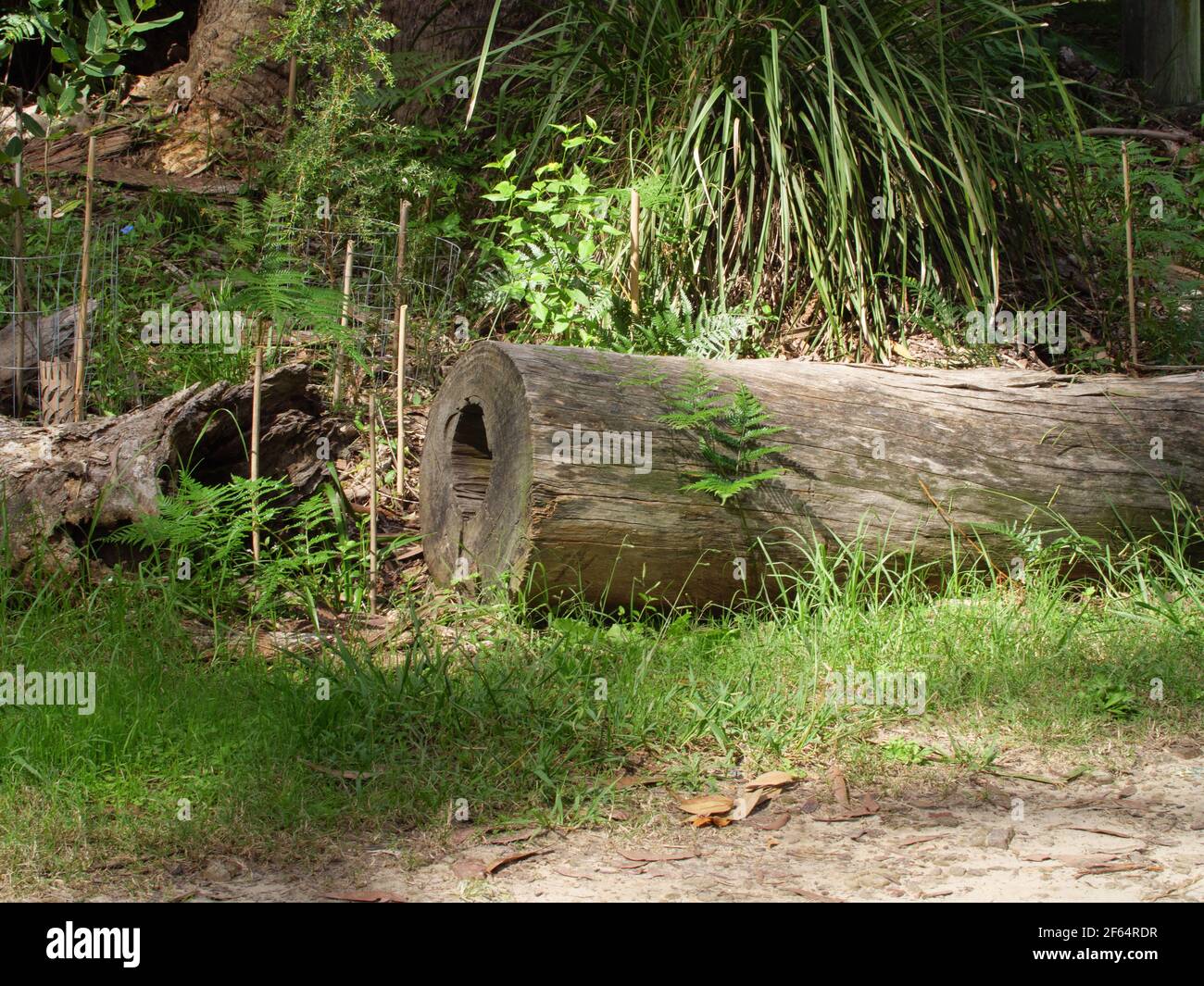 Dangar island hi-res stock photography and images - Alamy