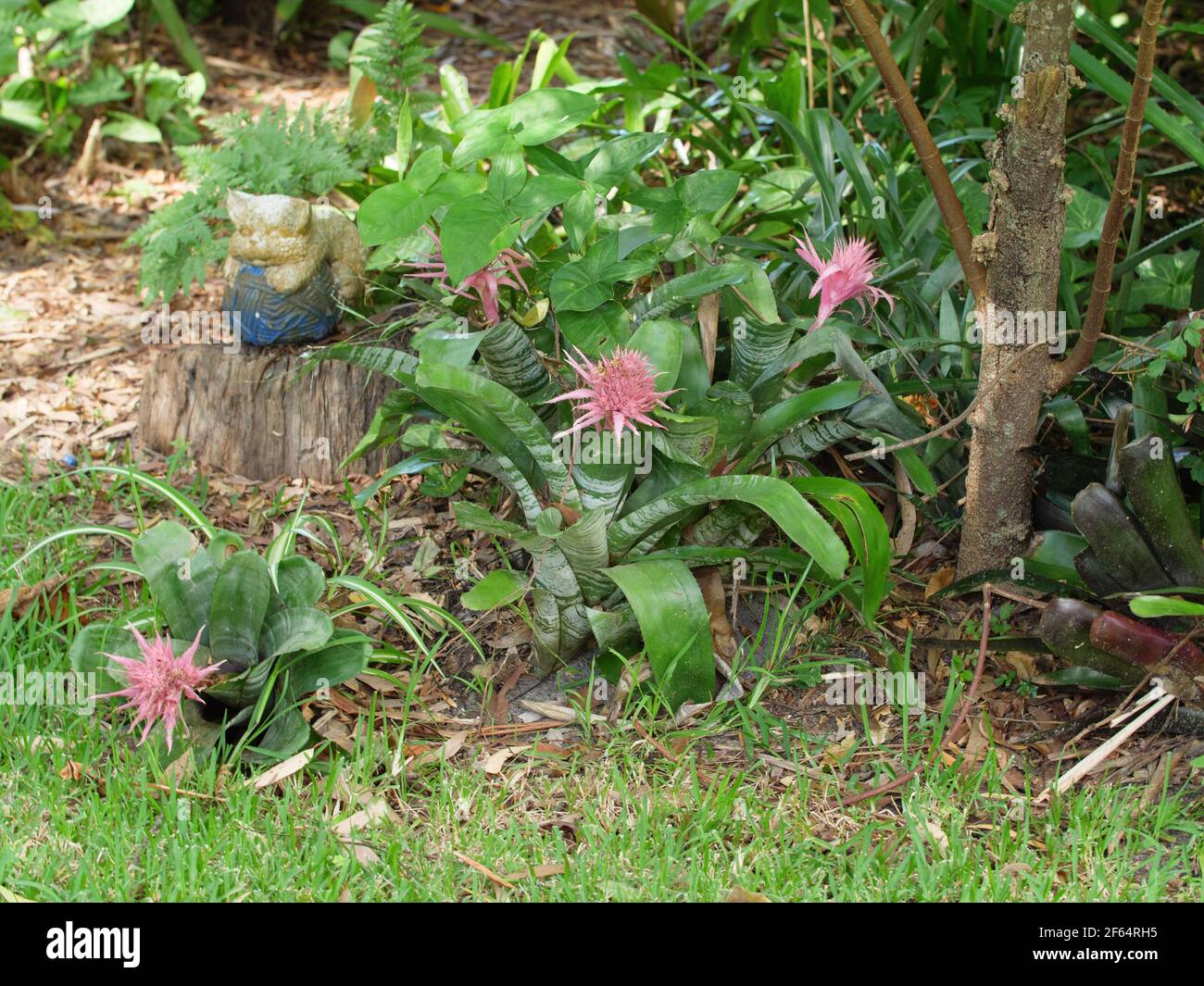 Dangar island hi-res stock photography and images - Alamy
