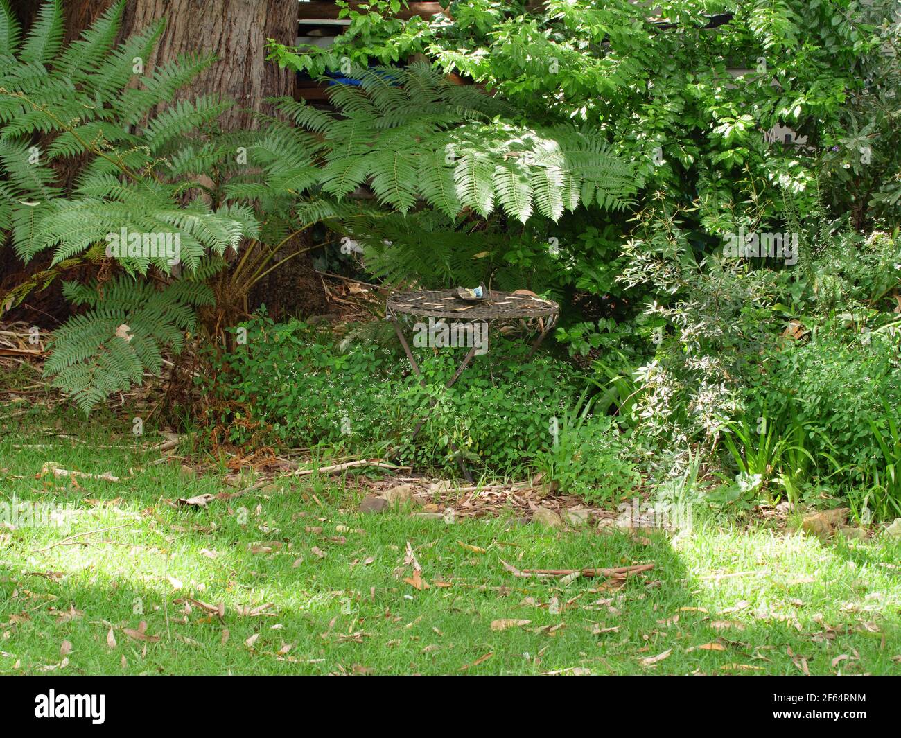 Dangar island hi-res stock photography and images - Alamy