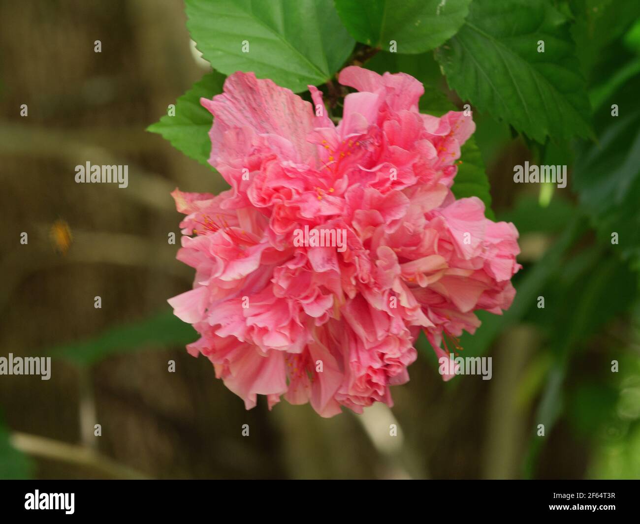 Dangar island hi-res stock photography and images - Alamy