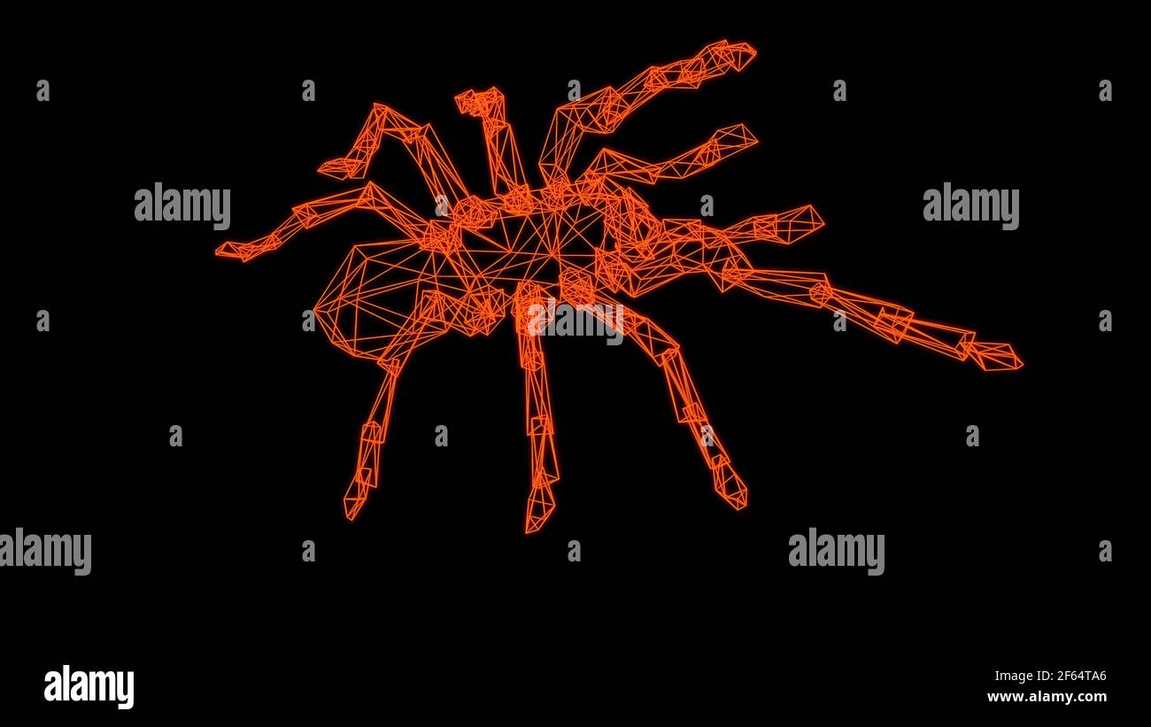wire frame model of spider - 3D Rendering Stock Photo - Alamy