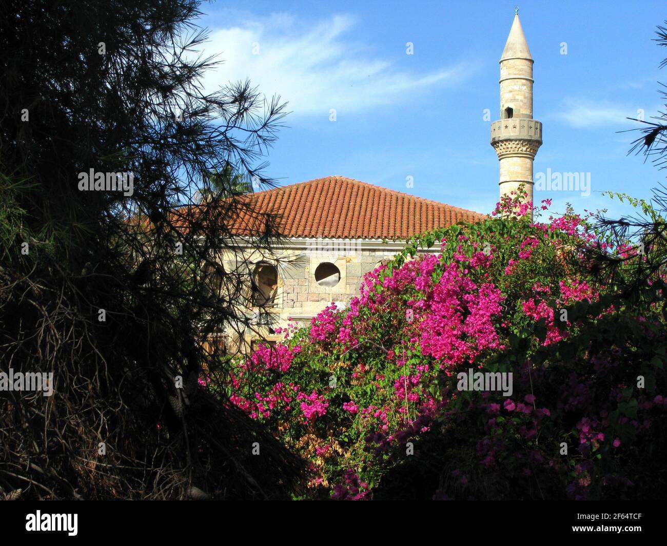 colorful plants and a view to the old mosque in Kos city Greece Stock ...