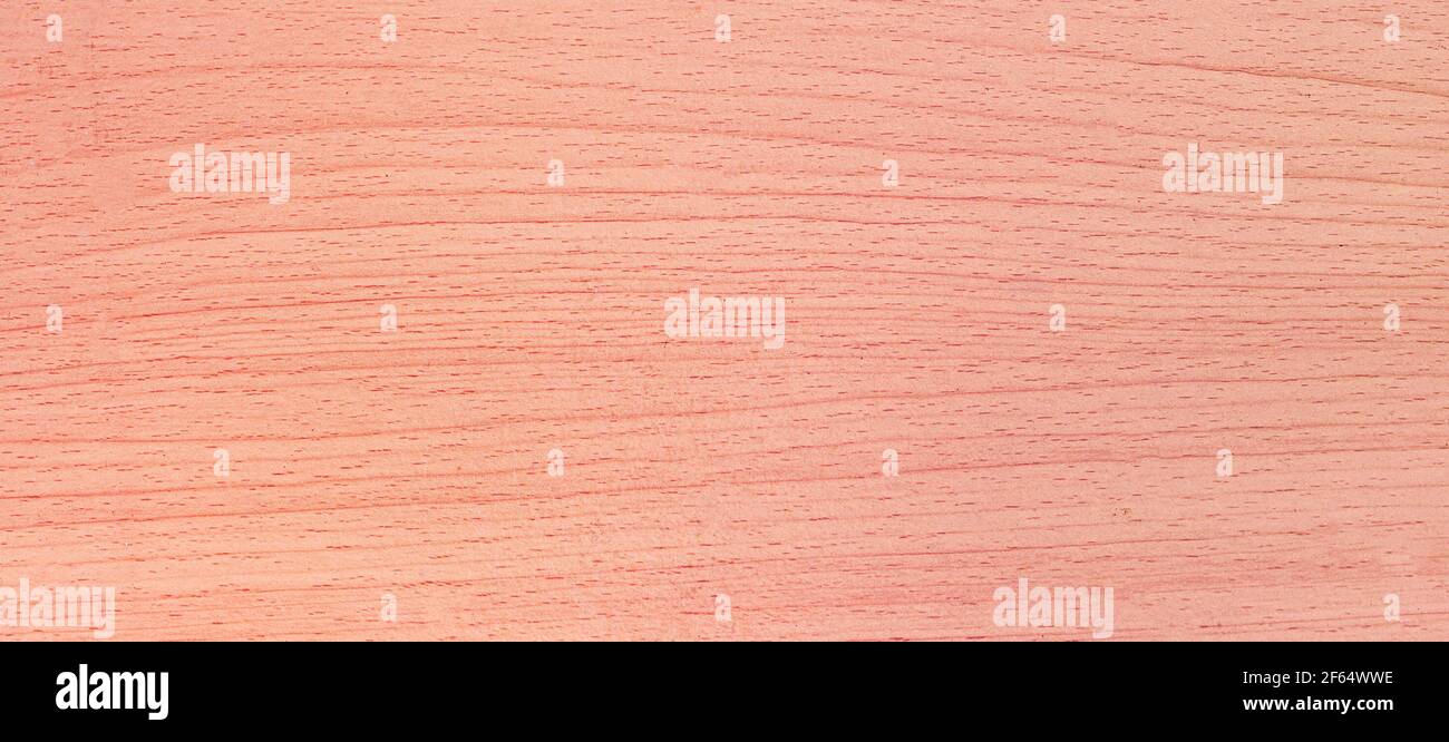 Panorama cream wood floor used to made backgrounds for your designs to ...