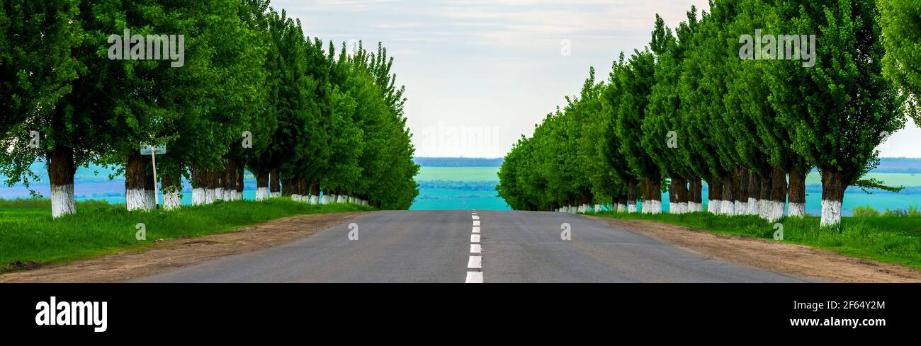 Row along the asphalt path hi-res stock photography and images - Alamy