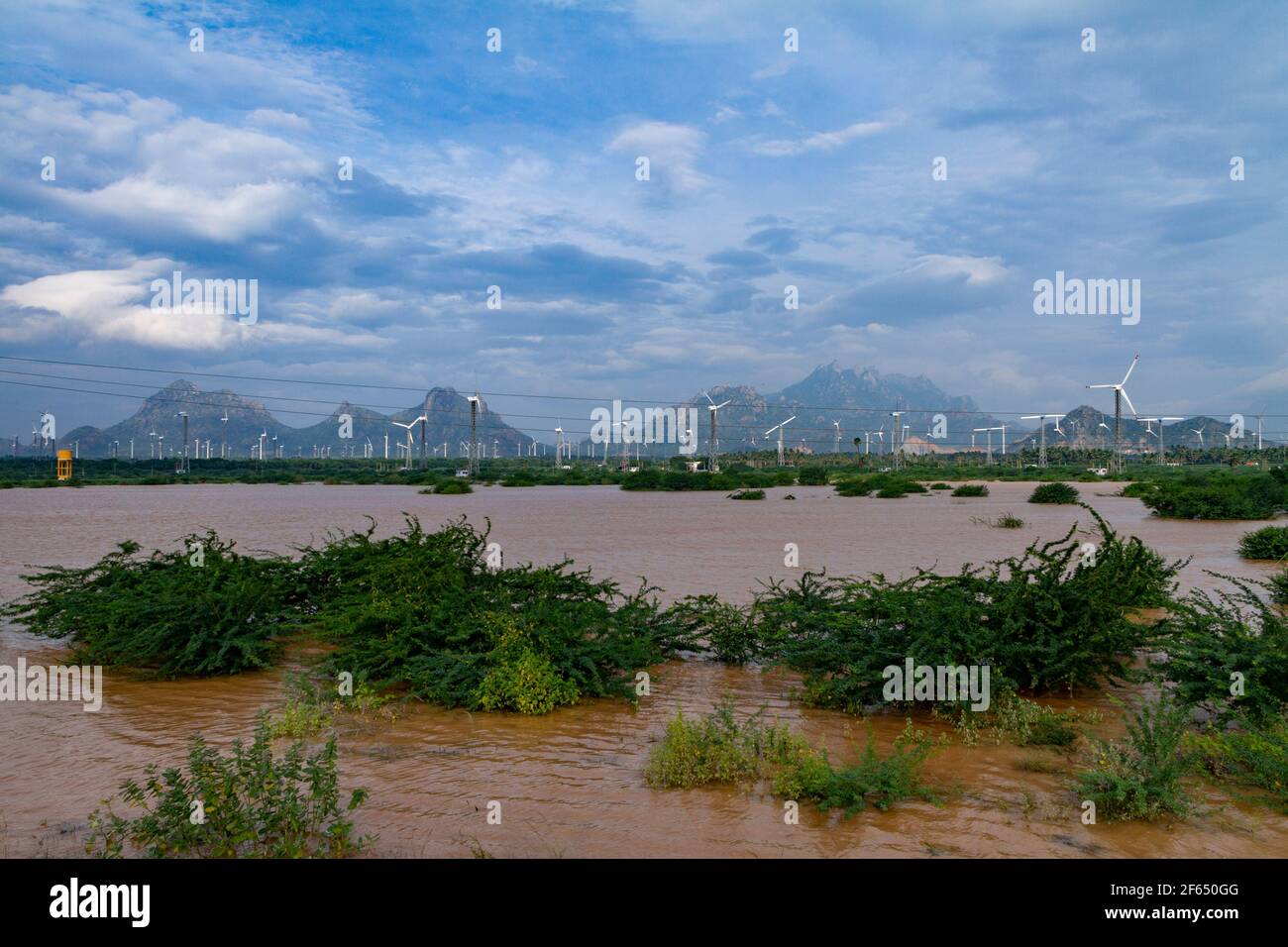 Dirty water lake with large group of wind turbine and blue cloudy sky ...