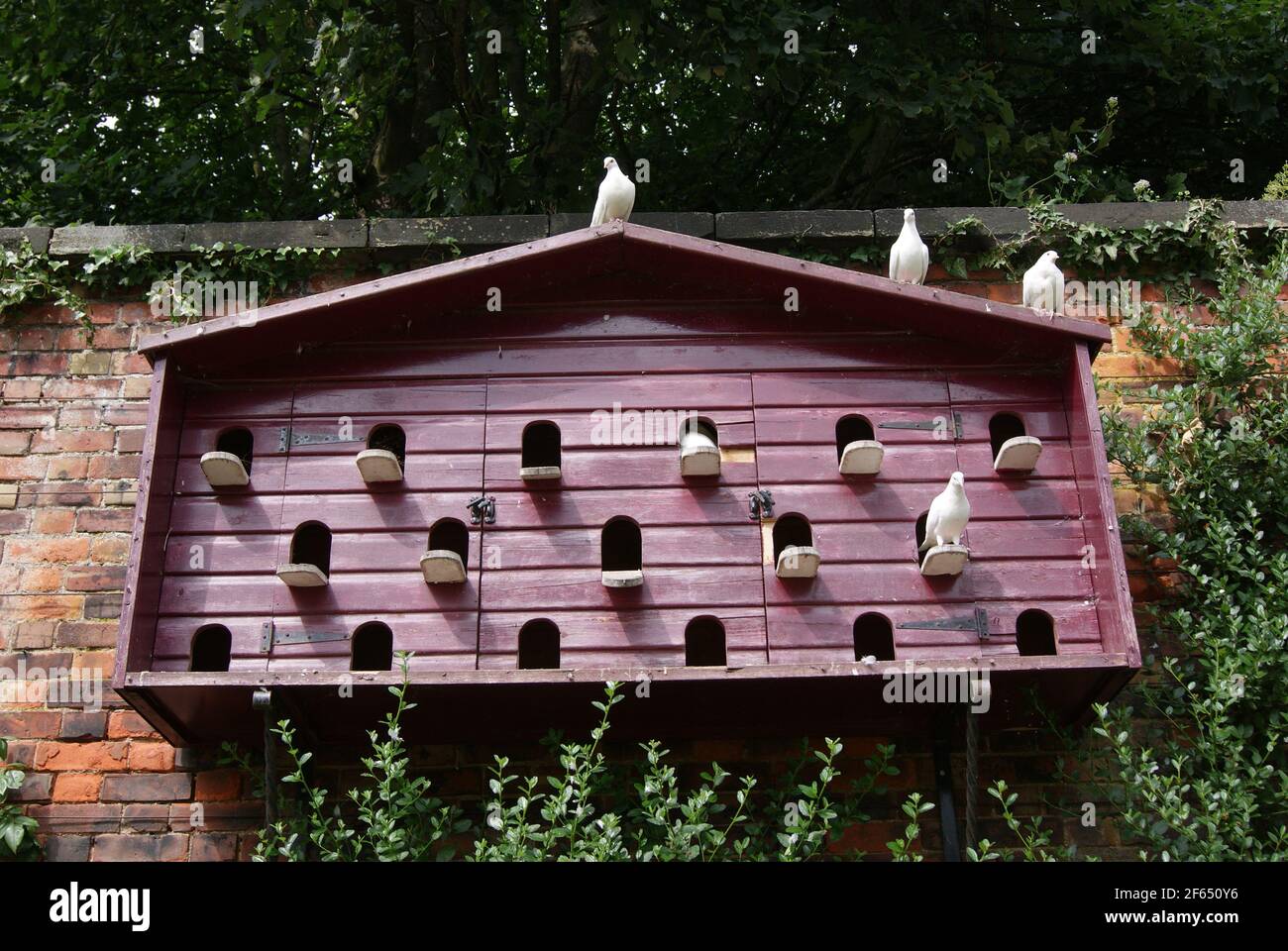 Dove Cote High Resolution Stock Photography and Images - Alamy