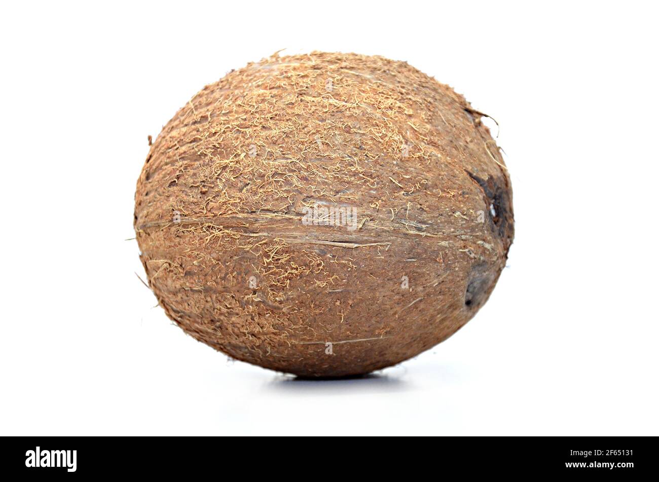 coconut isolated, nut Stock Photo - Alamy