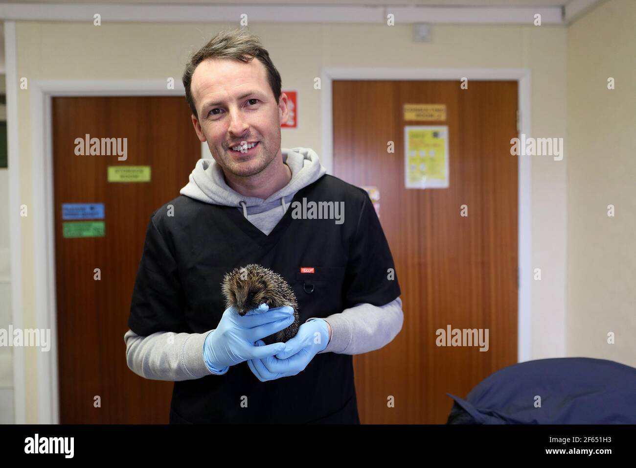 Tara holds hi-res stock photography and images - Alamy