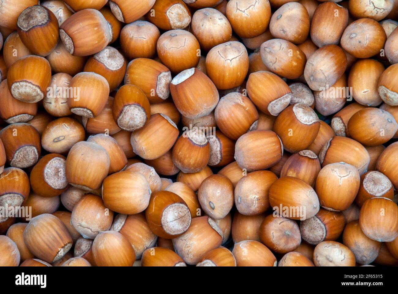 Hazelnuts. Stack of hazelnuts. Food background Hazelnut background ...