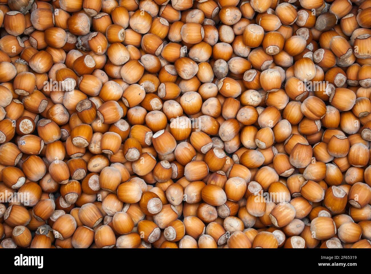 Hazelnuts. Stack of hazelnuts. Food background Hazelnut background ...