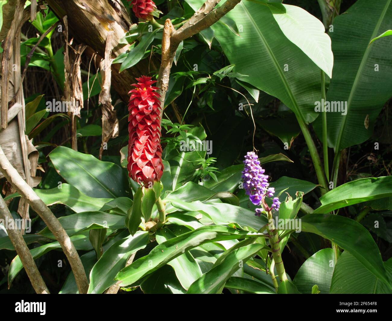 Dangar island hi-res stock photography and images - Alamy