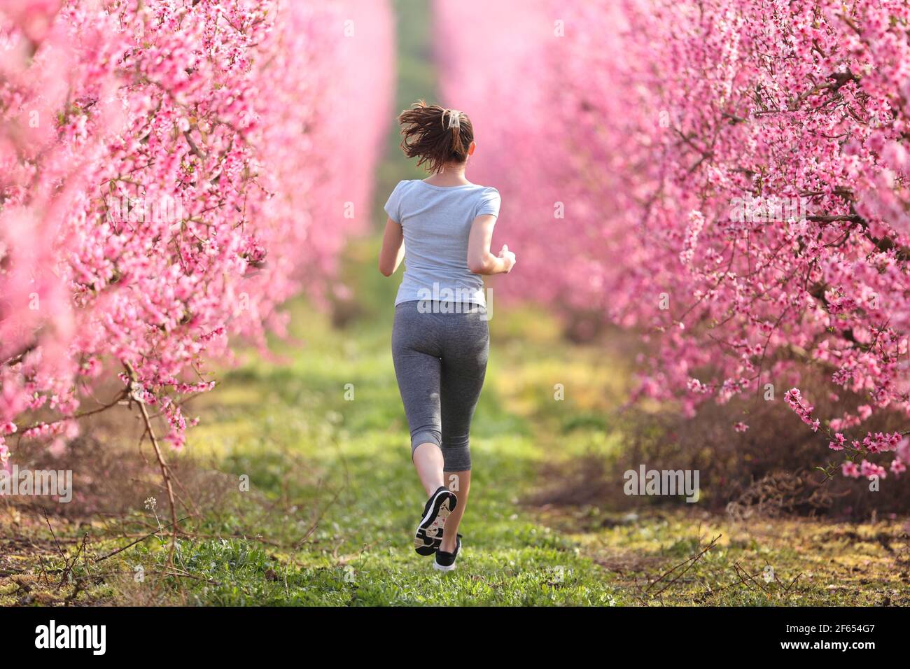 Full body Back view of a female jogger running in a flowers field Stock ...
