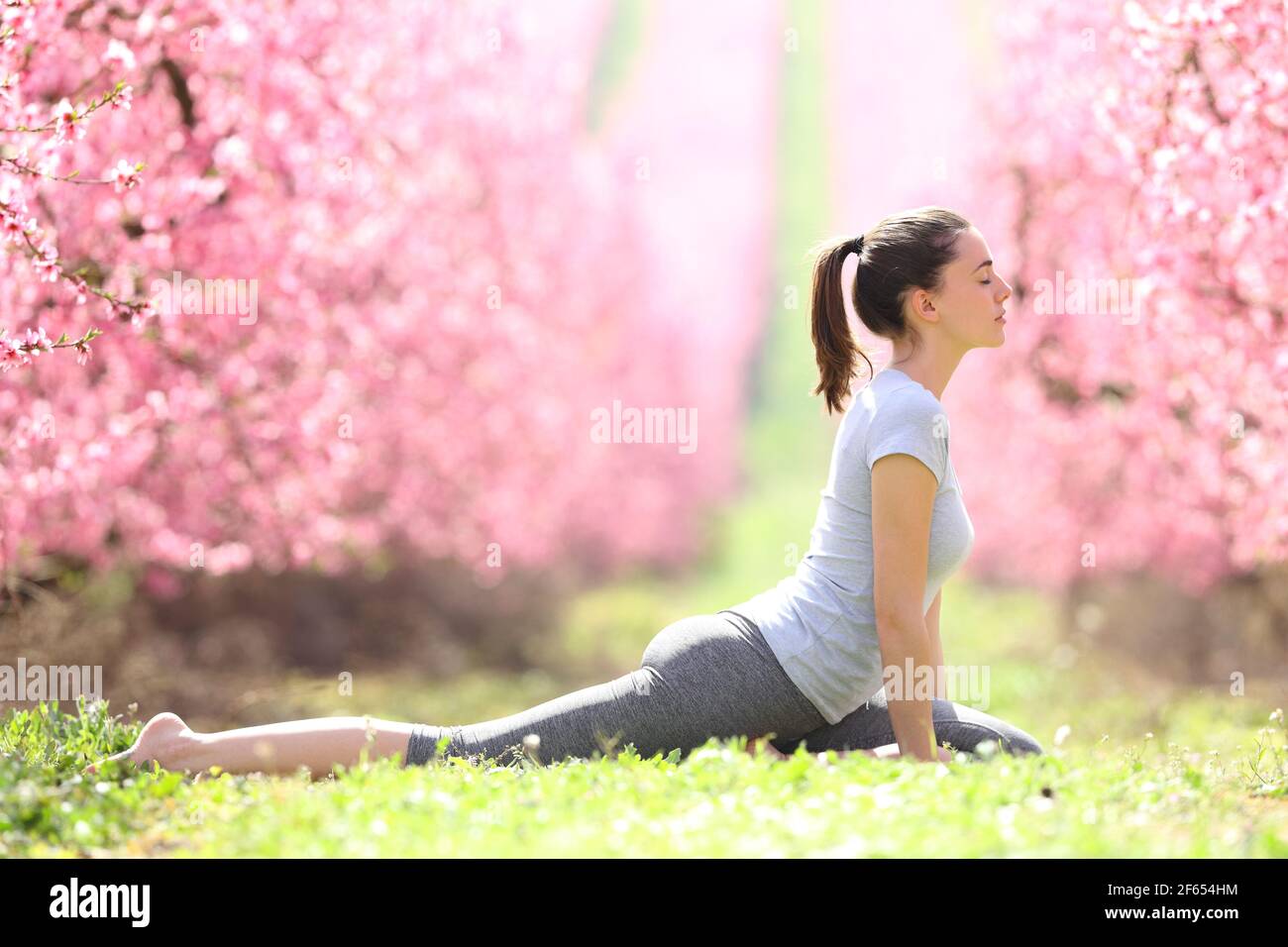 Yoga flowers hi-res stock photography and images - Alamy