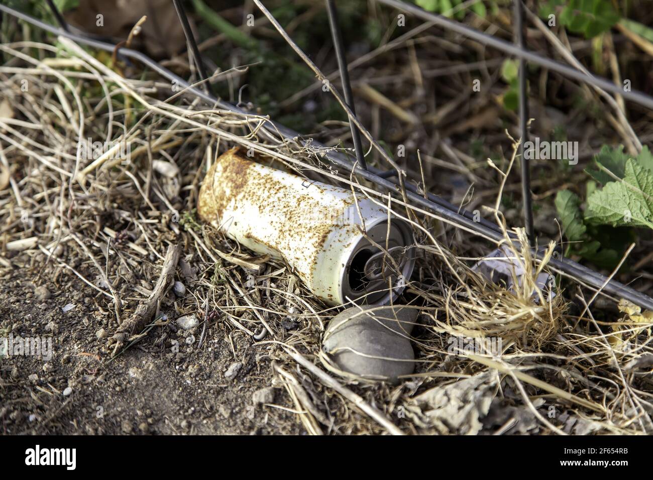 Empty beer can on grass hi-res stock photography and images - Alamy