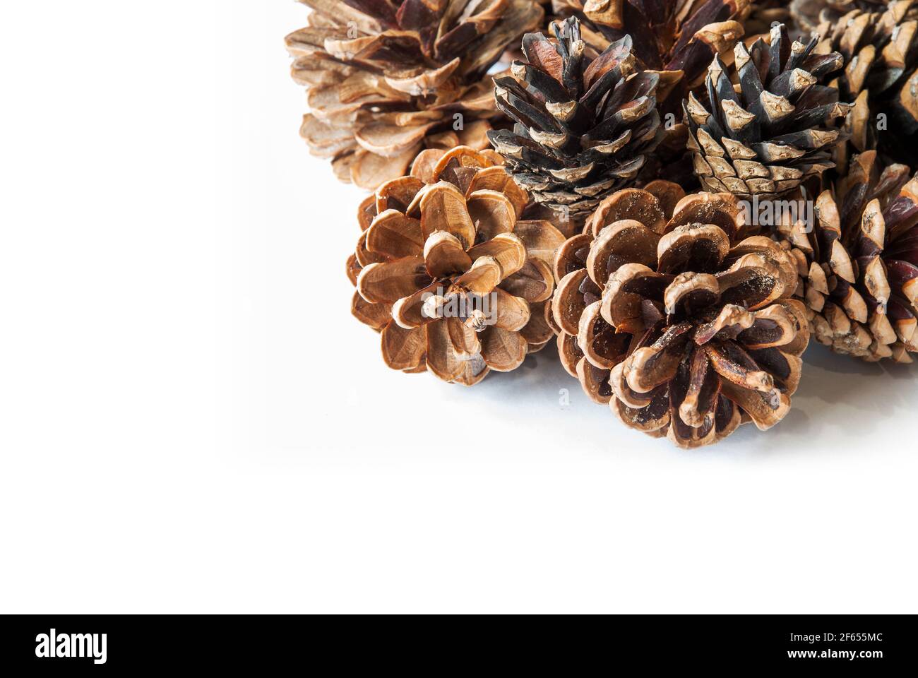 Pine cones isolated on white background Stock Photo - Alamy