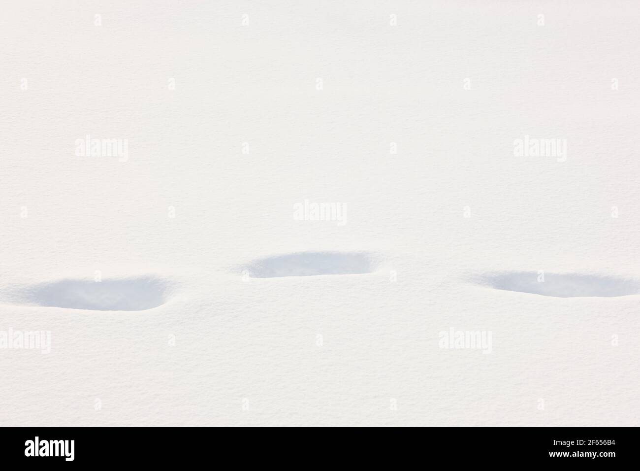 Footprints in the snow. Winter season. Cold weather Stock Photo - Alamy