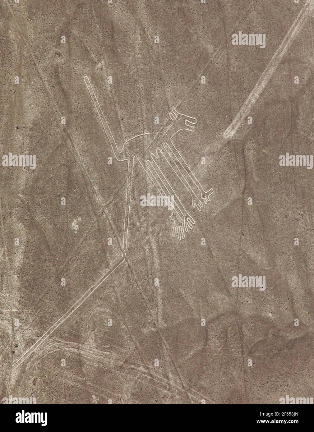 Desert Nazca Lines Map