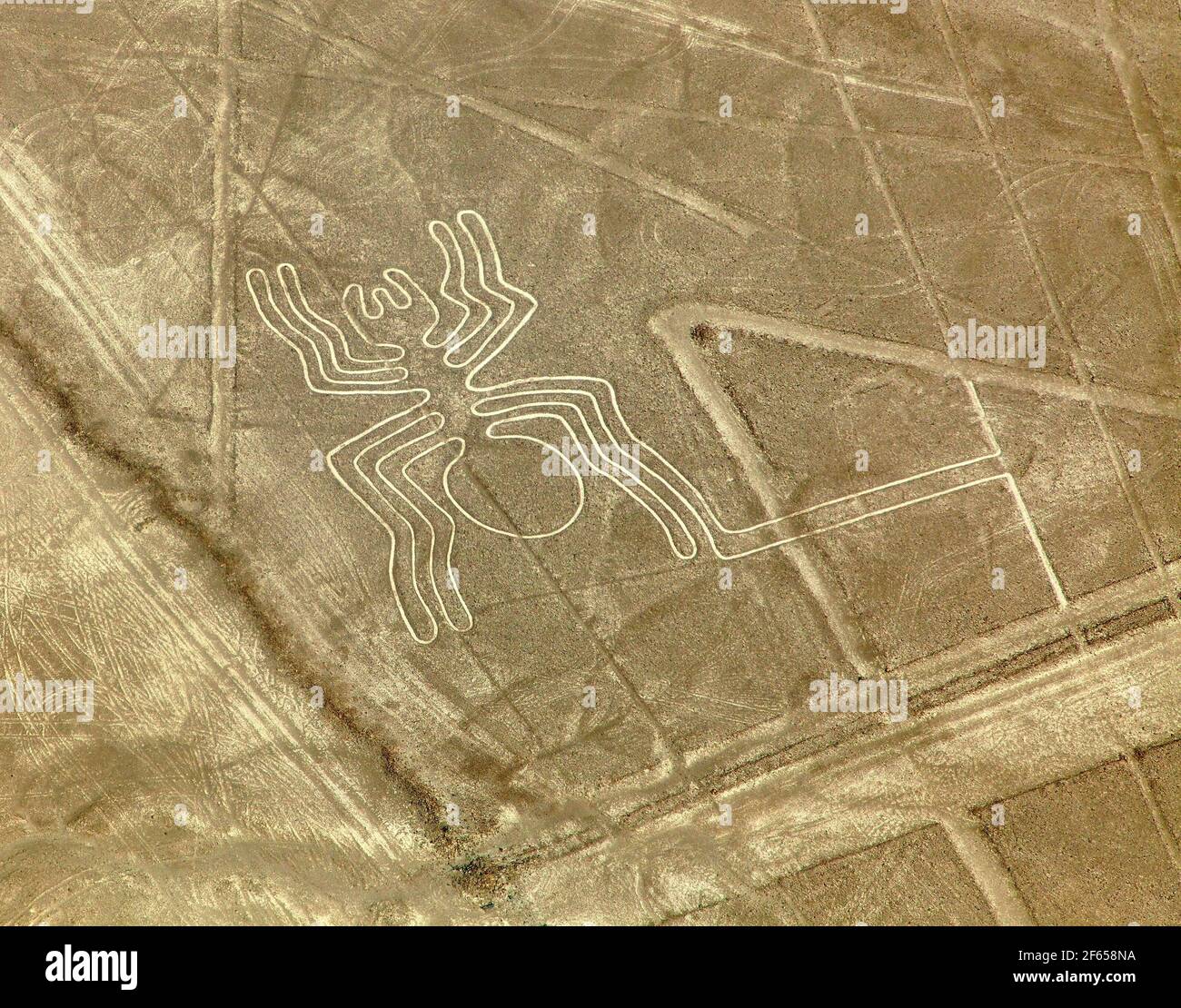 Nazca Spider Nazca Lines: Peru's Mysterious Geoglyphs YouTube