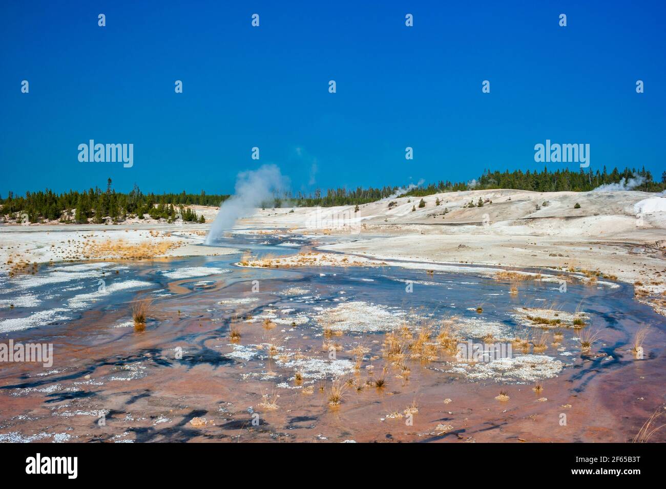 Geothermal pools at Porcelain Basin boardwalk trail inside Norris ...