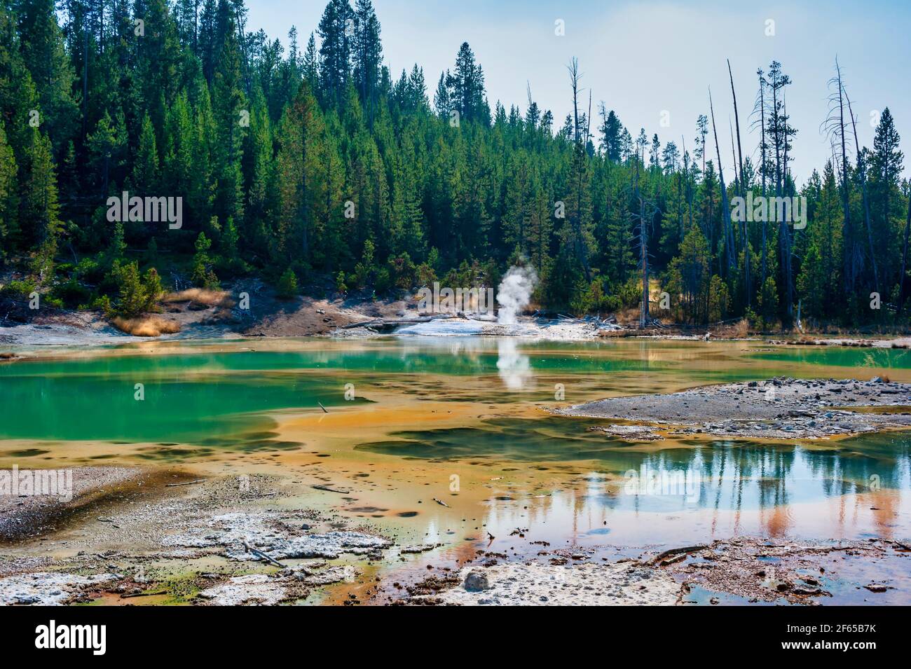 Geothermal pools at Porcelain Basin boardwalk trail inside Norris ...