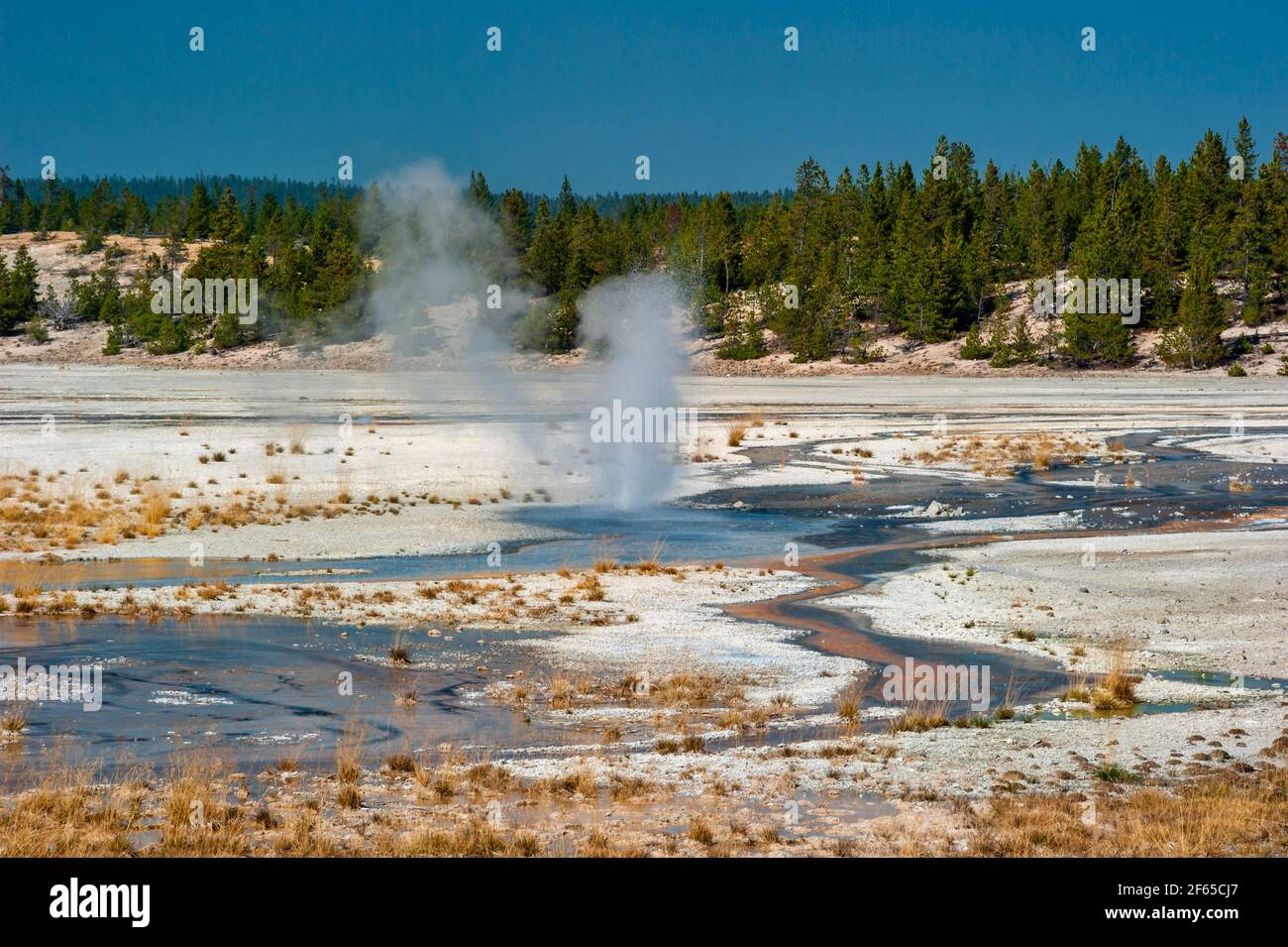 Acid pools yellowstone hi-res stock photography and images - Alamy