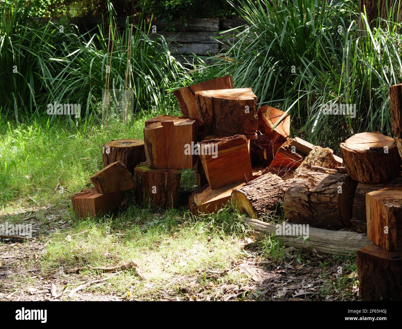 on Dangar Island in New South Wales Australia Stock Photo - Alamy