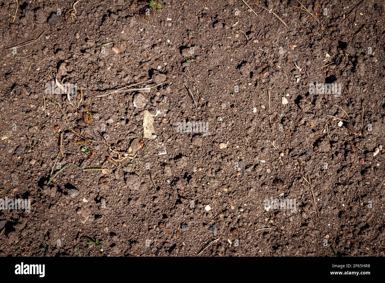Abstract ground texture with clumps. Soil background Stock Photo - Alamy