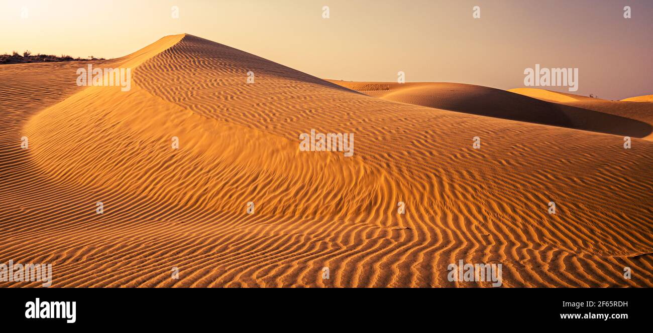 Sand dunes in the Thar desert, Rajasthan, India Stock Photo - Alamy