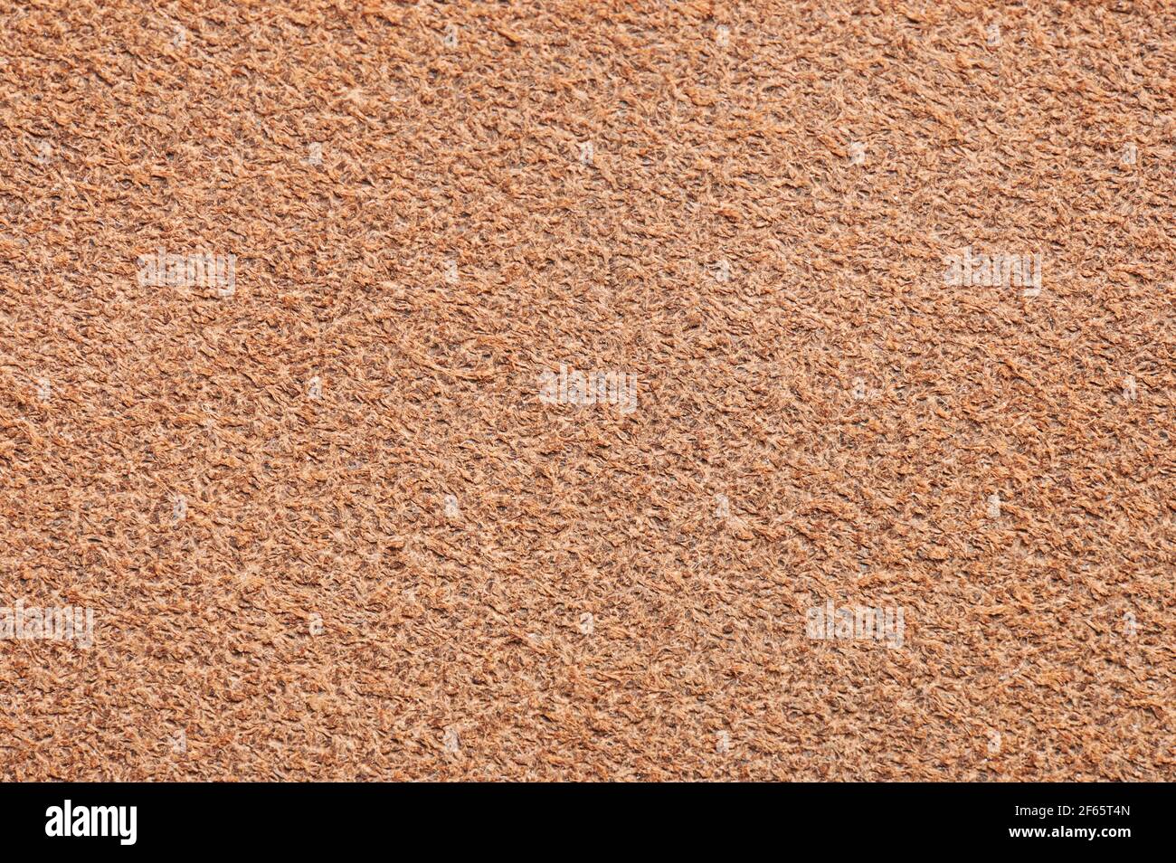 Cream Velvet Texture