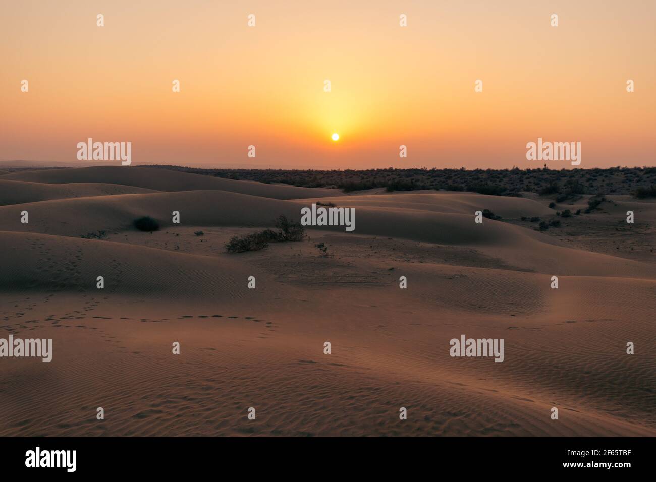 Sand dunes in the Thar desert, Rajasthan, India Stock Photo - Alamy
