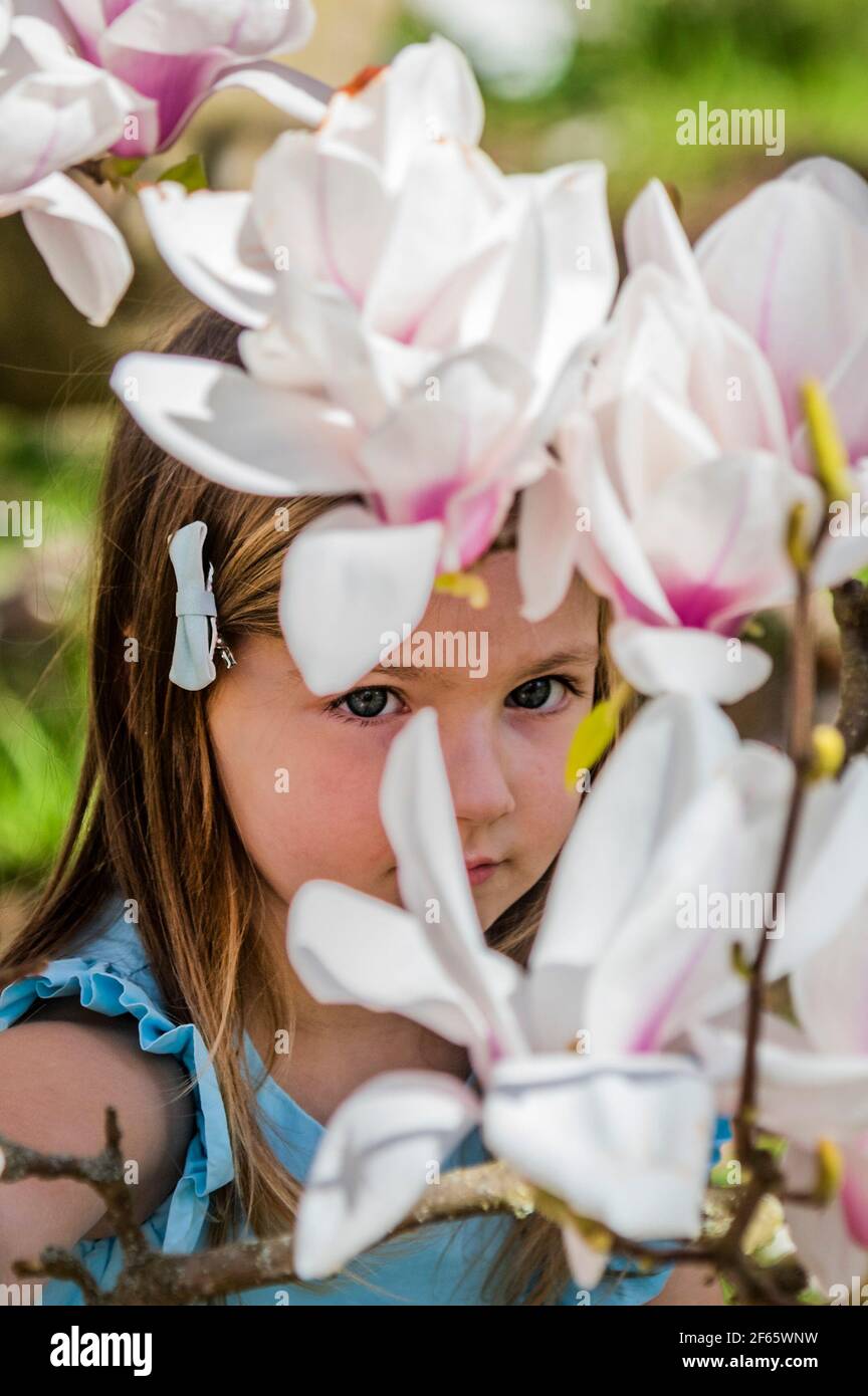 Emma magnolia hi-res stock photography and images - Alamy
