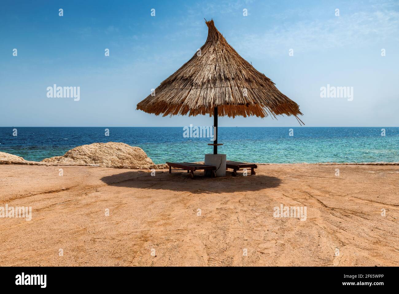Parasol on coral beach in Red Sea, Egypt, Africa Stock Photo - Alamy