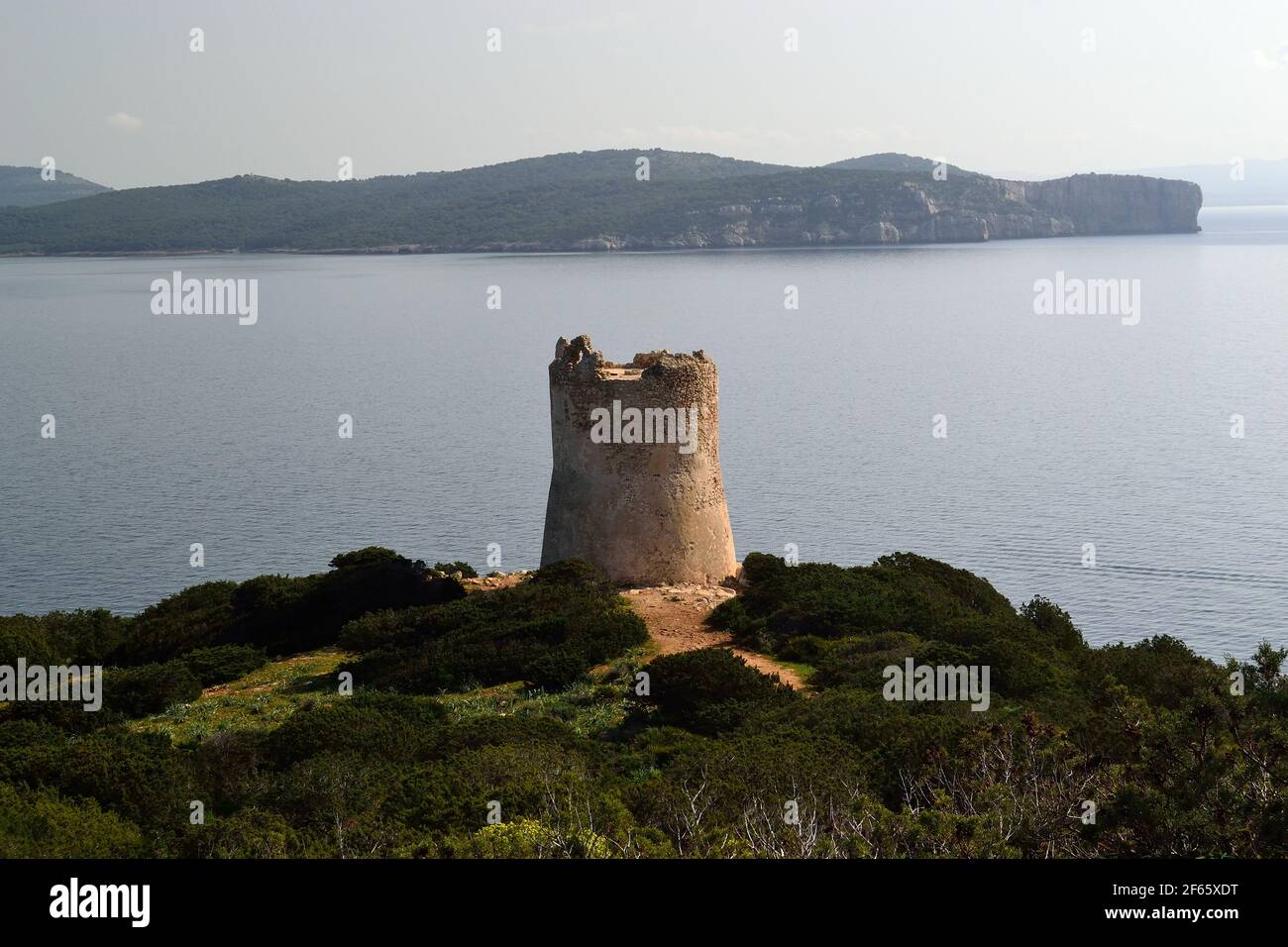 Bulo bulo hi-res stock photography and images - Alamy