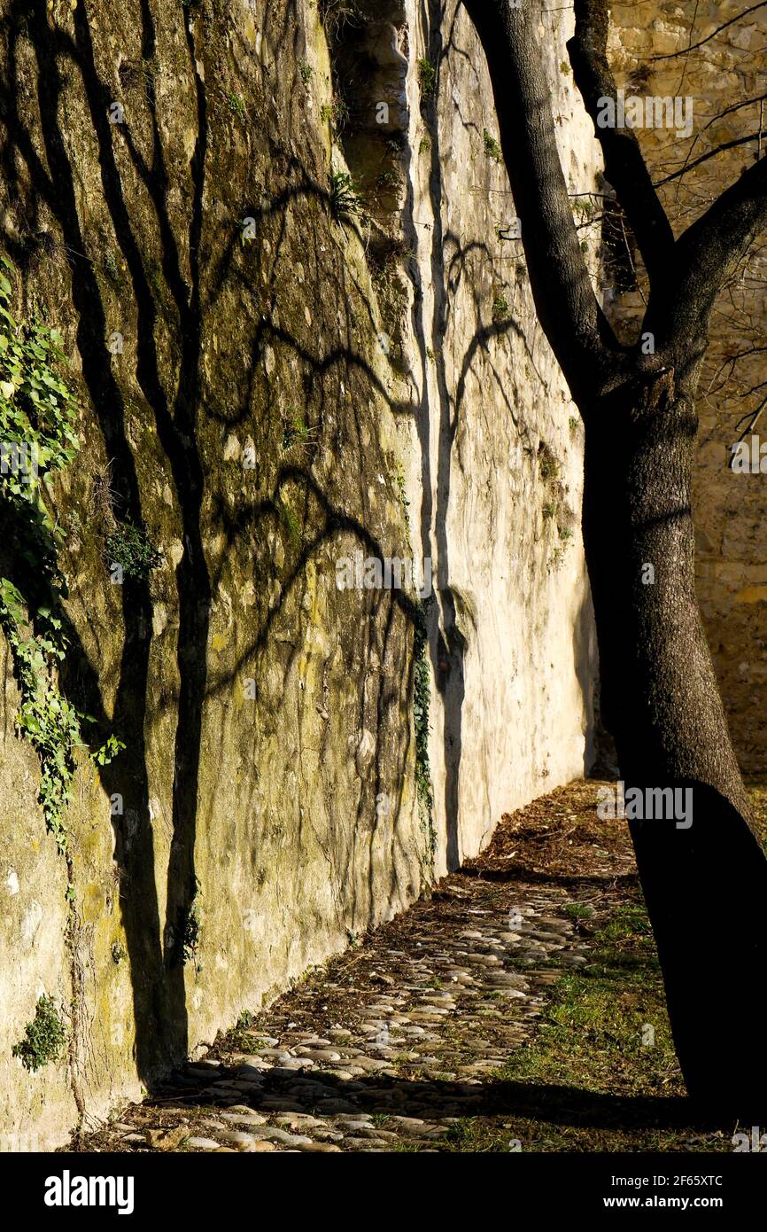 Chateau des adhemar hi-res stock photography and images - Alamy