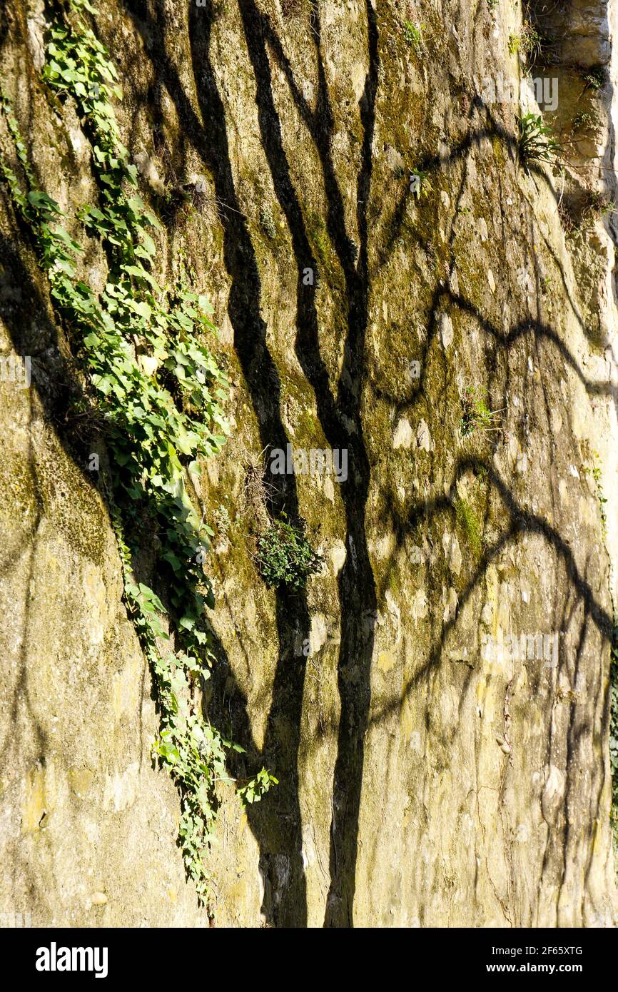 Chateau des adhemar montelimar france hi-res stock photography and ...