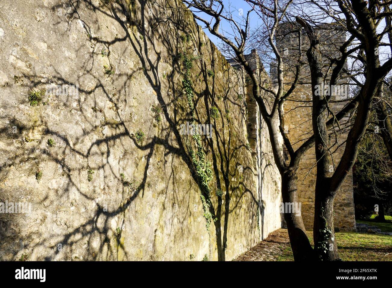 Chateau des adhemar montelimar france hi-res stock photography and ...