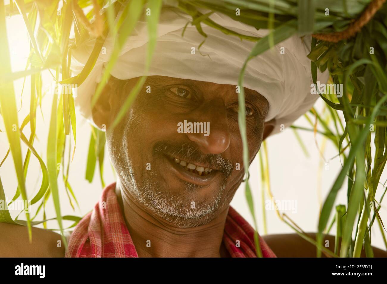 Indian Farmer Carrying Bundle of Paddy Crop Stock Photo - Alamy