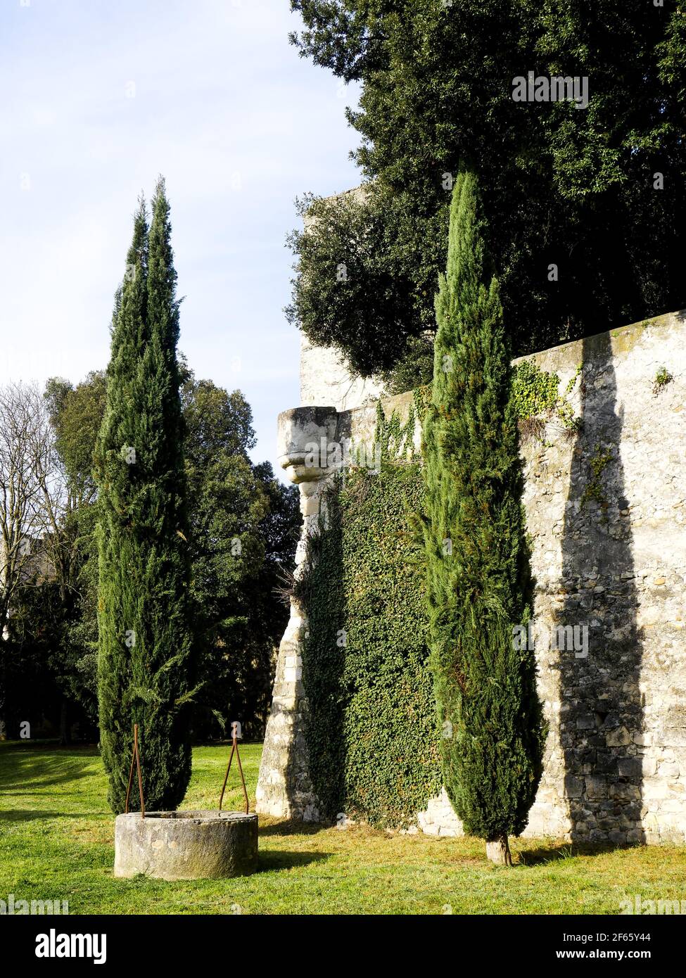 Famille des adhemar hi-res stock photography and images - Alamy