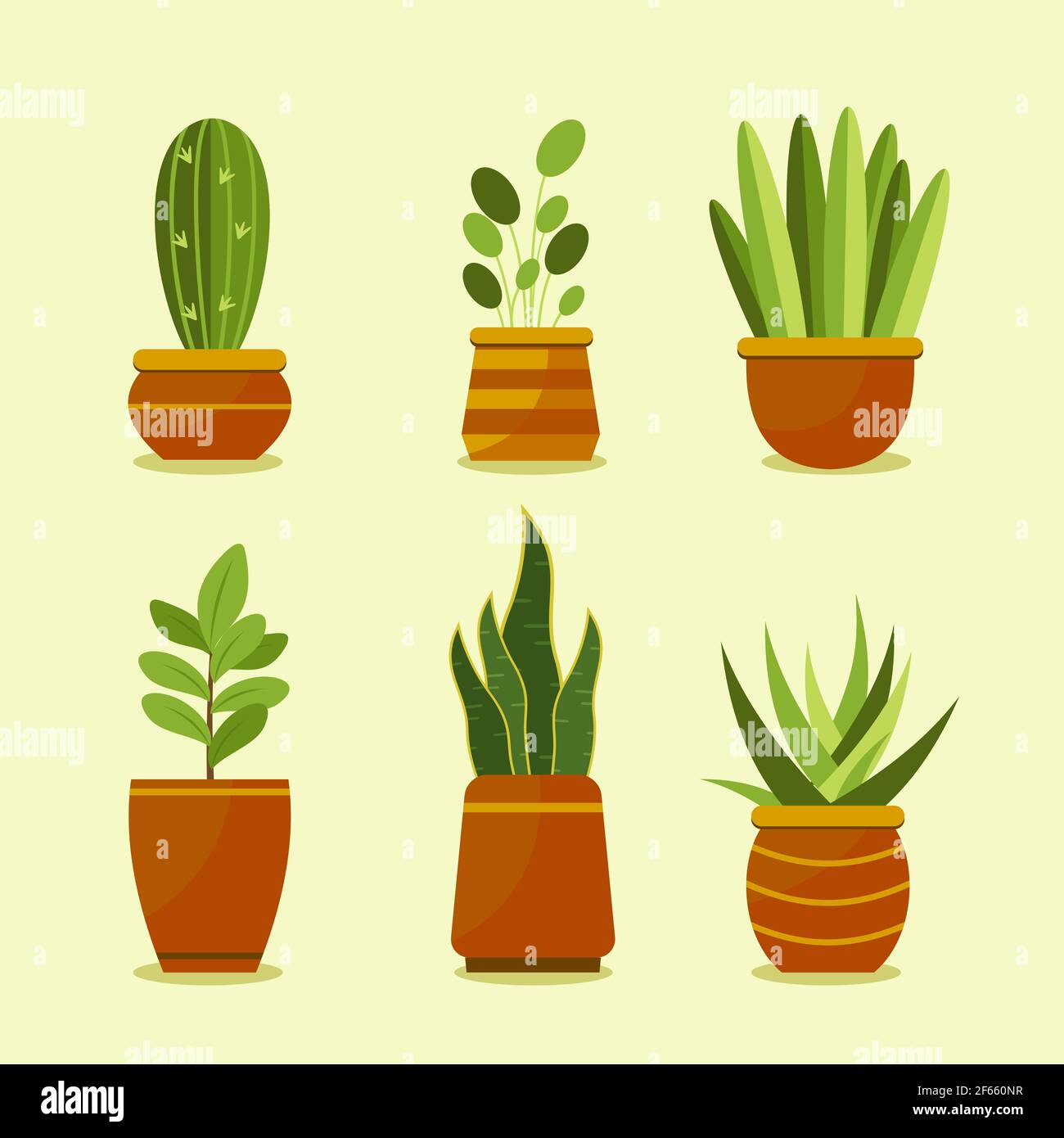 Woman jungle home plant Stock Vector Images - Alamy
