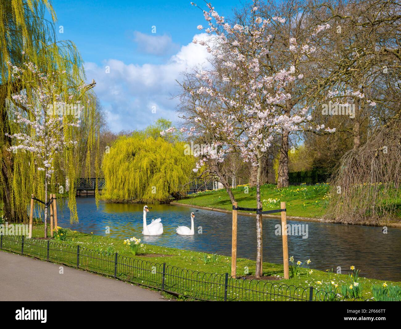 Regents park london wildlife hi-res stock photography and images - Alamy