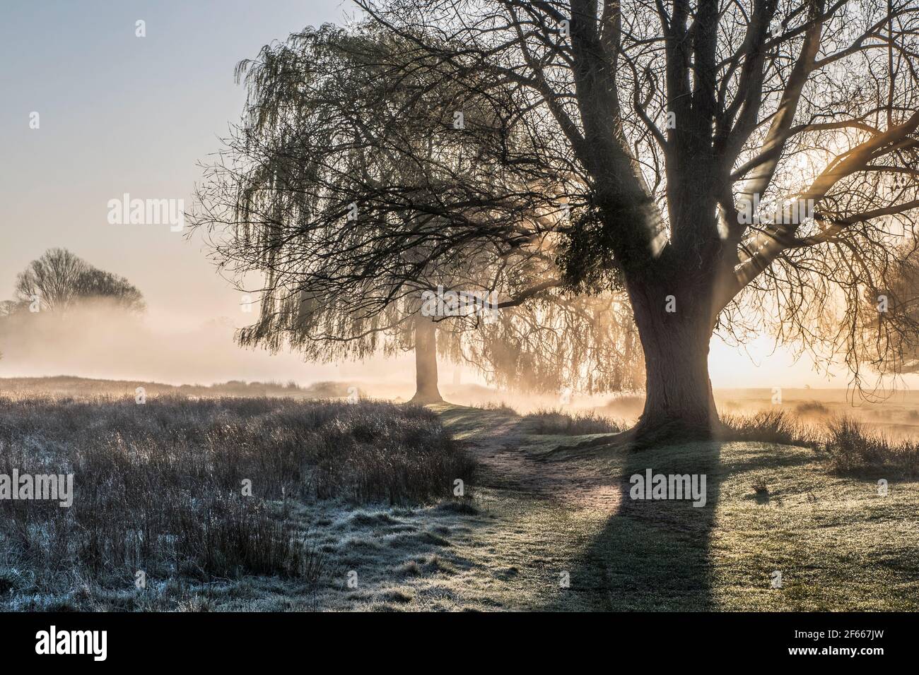 Sun in the mist hi-res stock photography and images - Alamy
