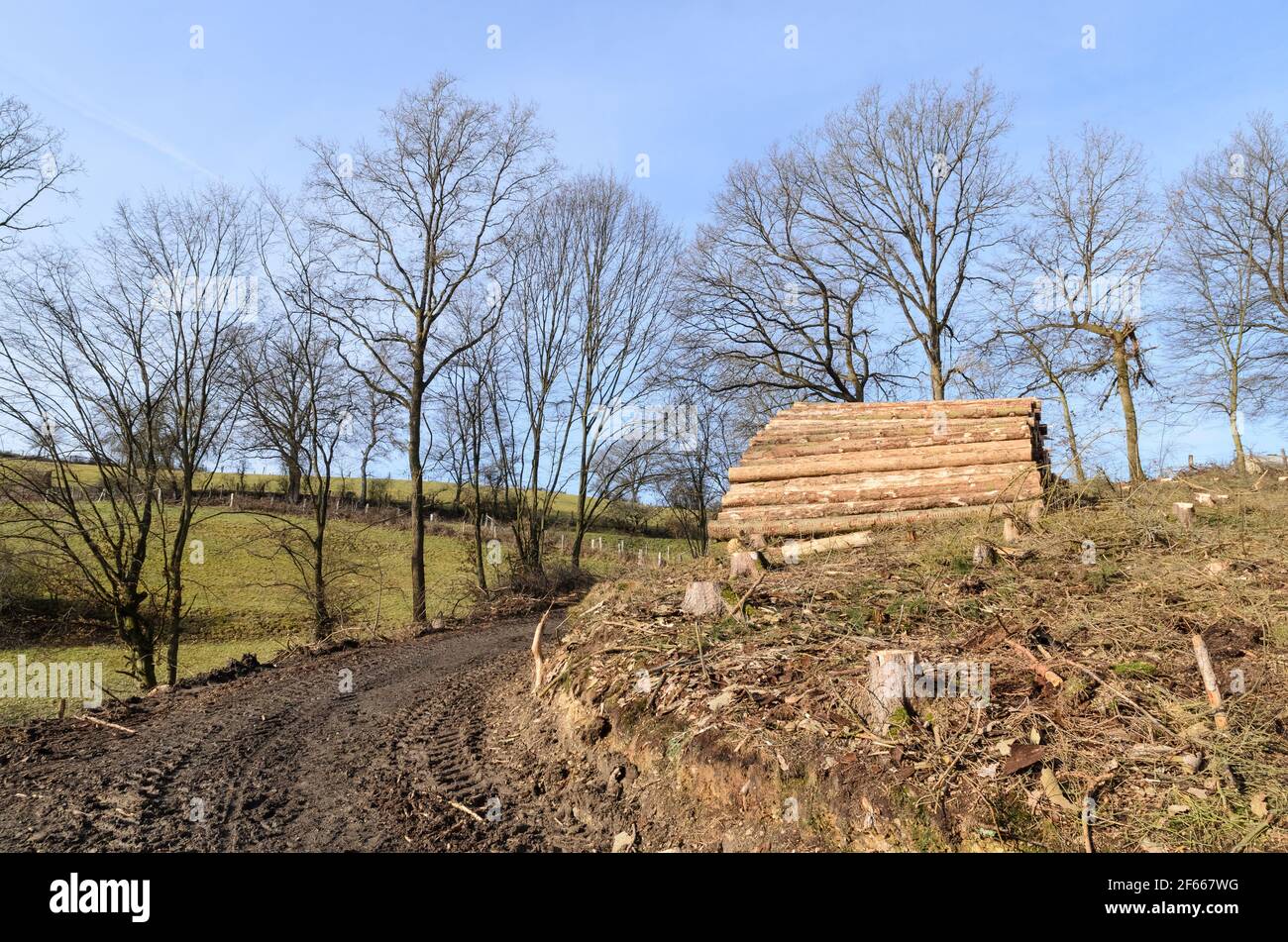 Logging Path High Resolution Stock Photography and Images - Alamy