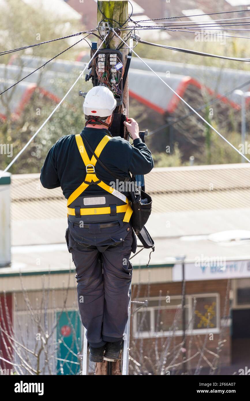 A telephone engineer standing on a ladder working at the top of a ...